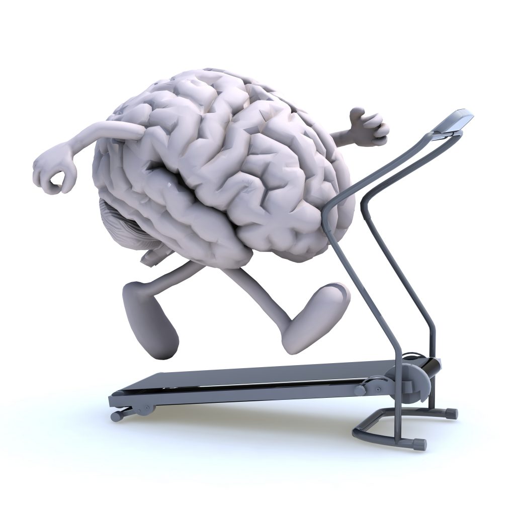 brain training for brain fitness and brain healthy lifestyle tips